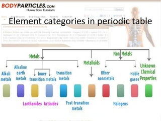 Human Body Elements | PPT