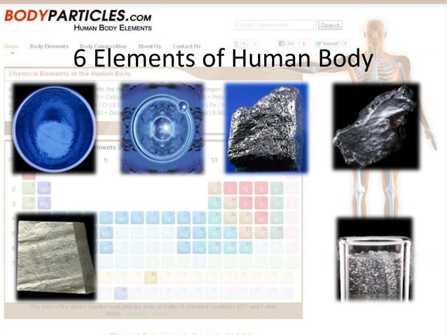 Human Body Elements | PPT