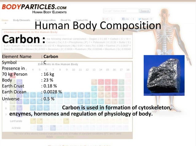 Human Body Elements | PPT