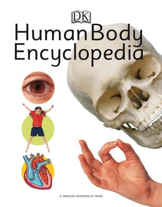 Human body encyclopedia | PDF