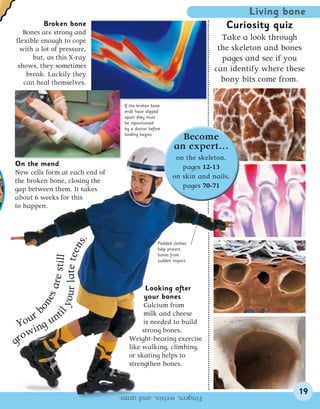 Human body encyclopedia | PDF