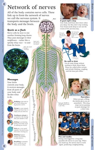 Human body encyclopedia | PDF