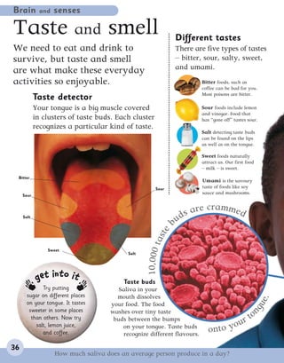 Human body encyclopedia | PDF
