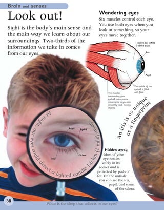 Human body encyclopedia | PDF