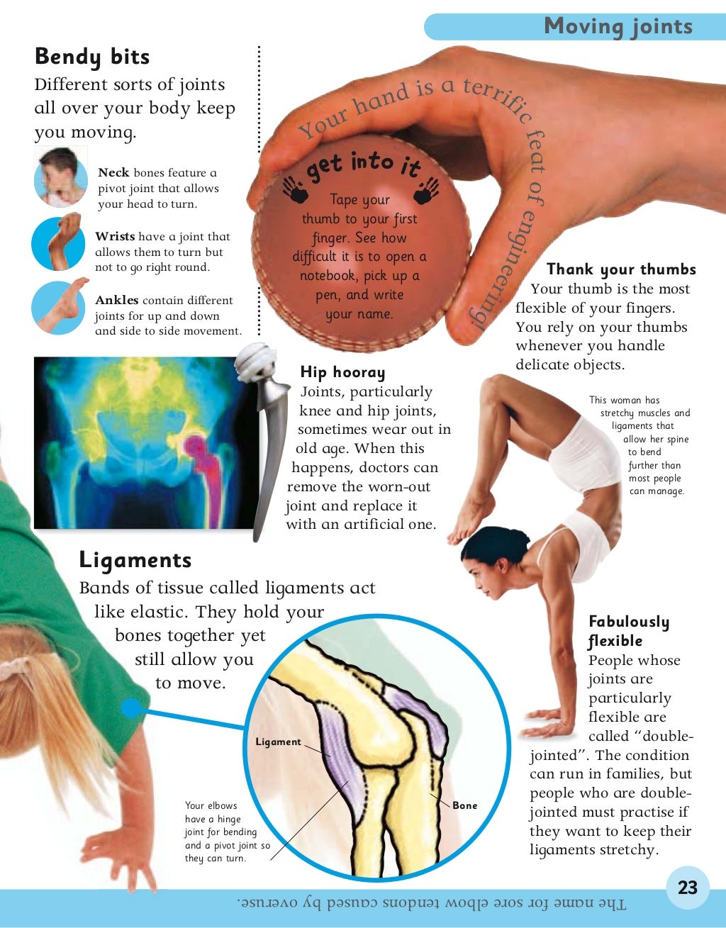 Human Body Encyclopedia human-body-encyclopedia