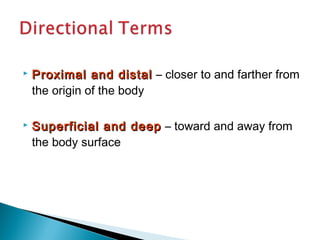 Human body intro+cavities(1) | PPT