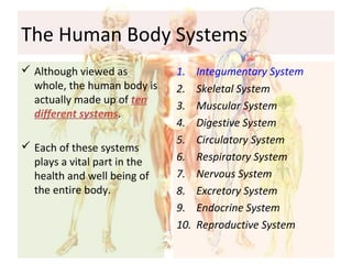 Human body its system | PPT | Endocrine and Metabolic Diseases ...