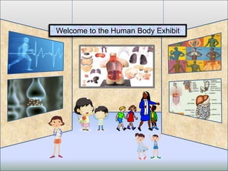 Human body museum | PPTX