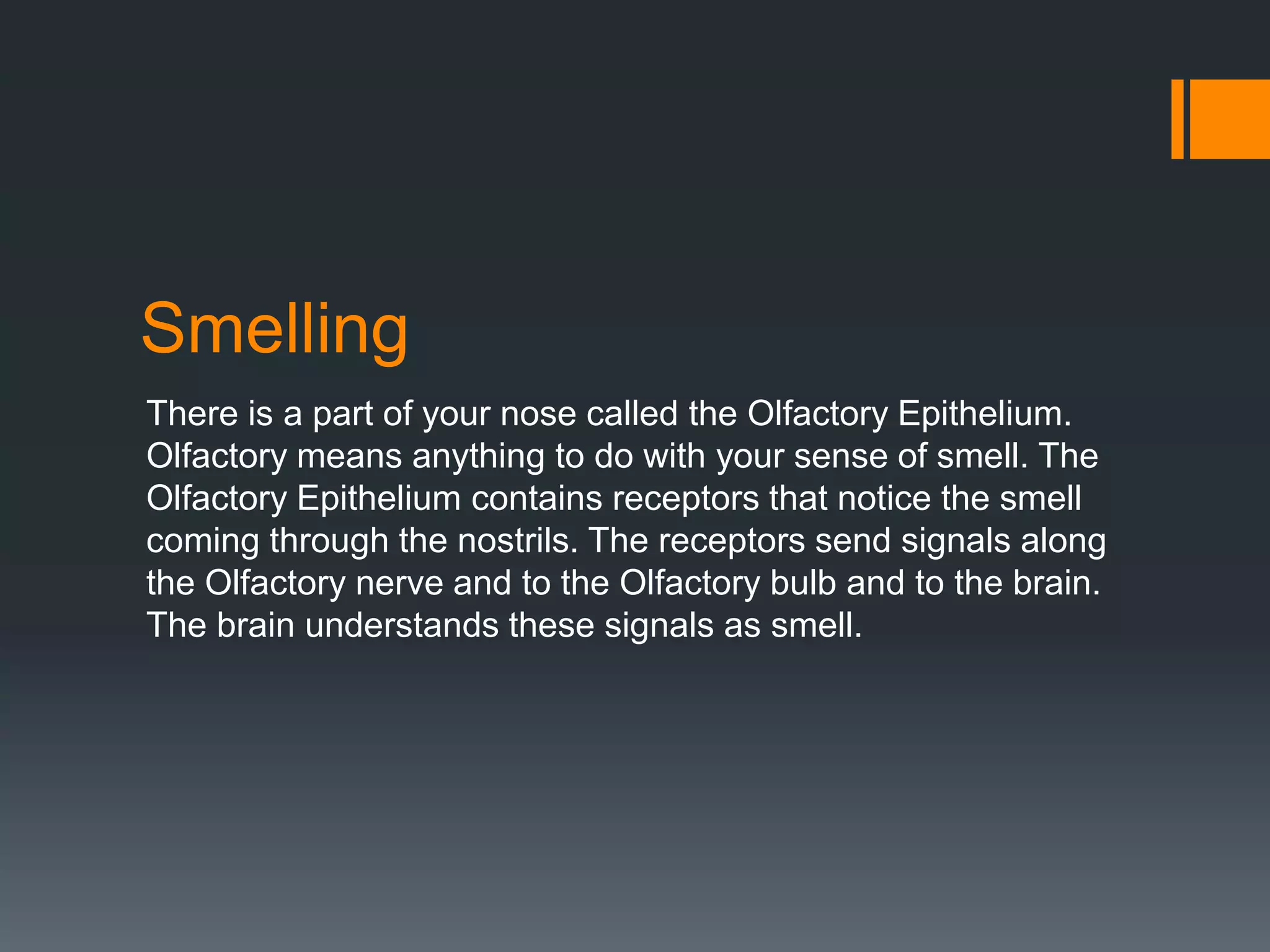 Human body nose | PPTX