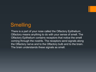 Human body nose | PPTX