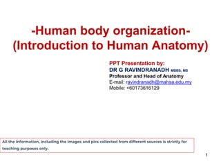 Human body Organization and Introduction to Human Anatomy.pdf