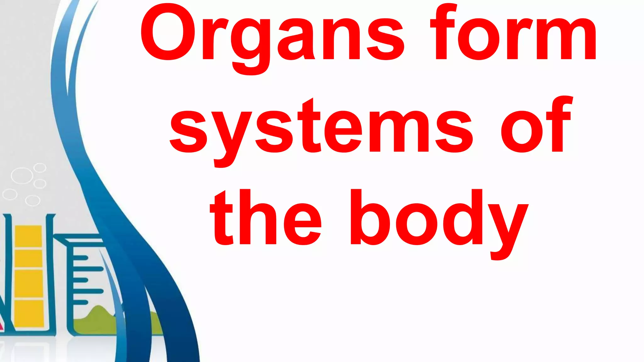 Human body organs | PPTX