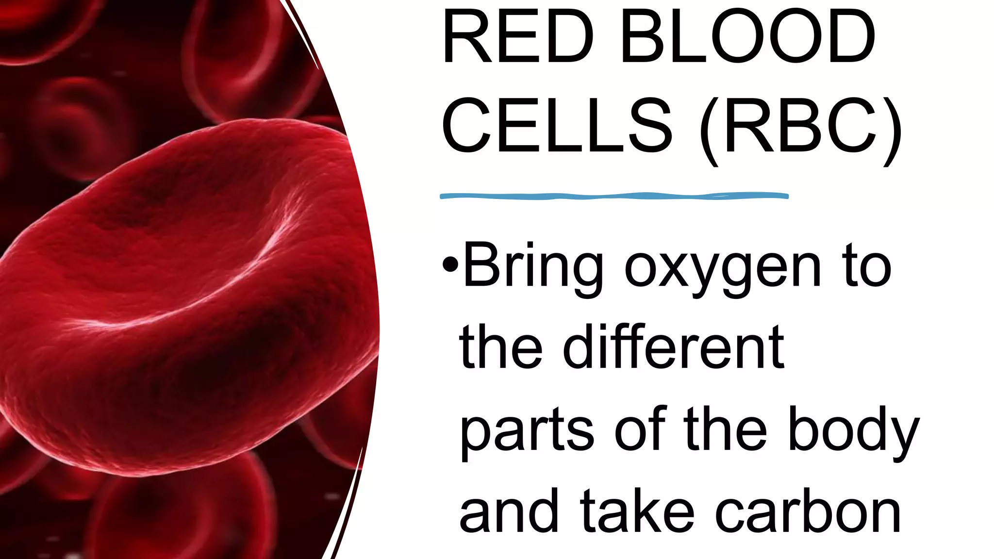 Human body organs | PPTX