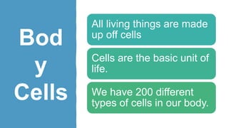 Human body organs | PPTX