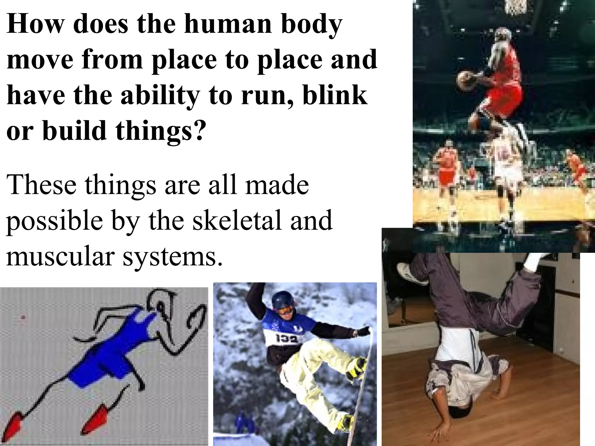 Human body overview | PPT