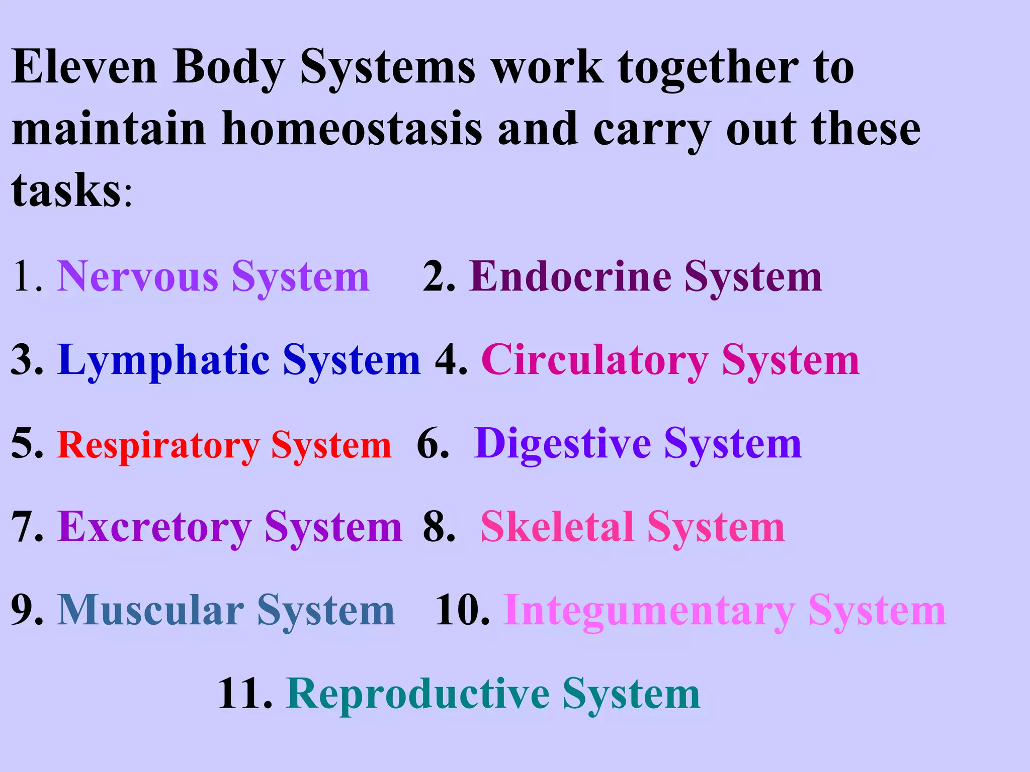 Human body overview | PPT