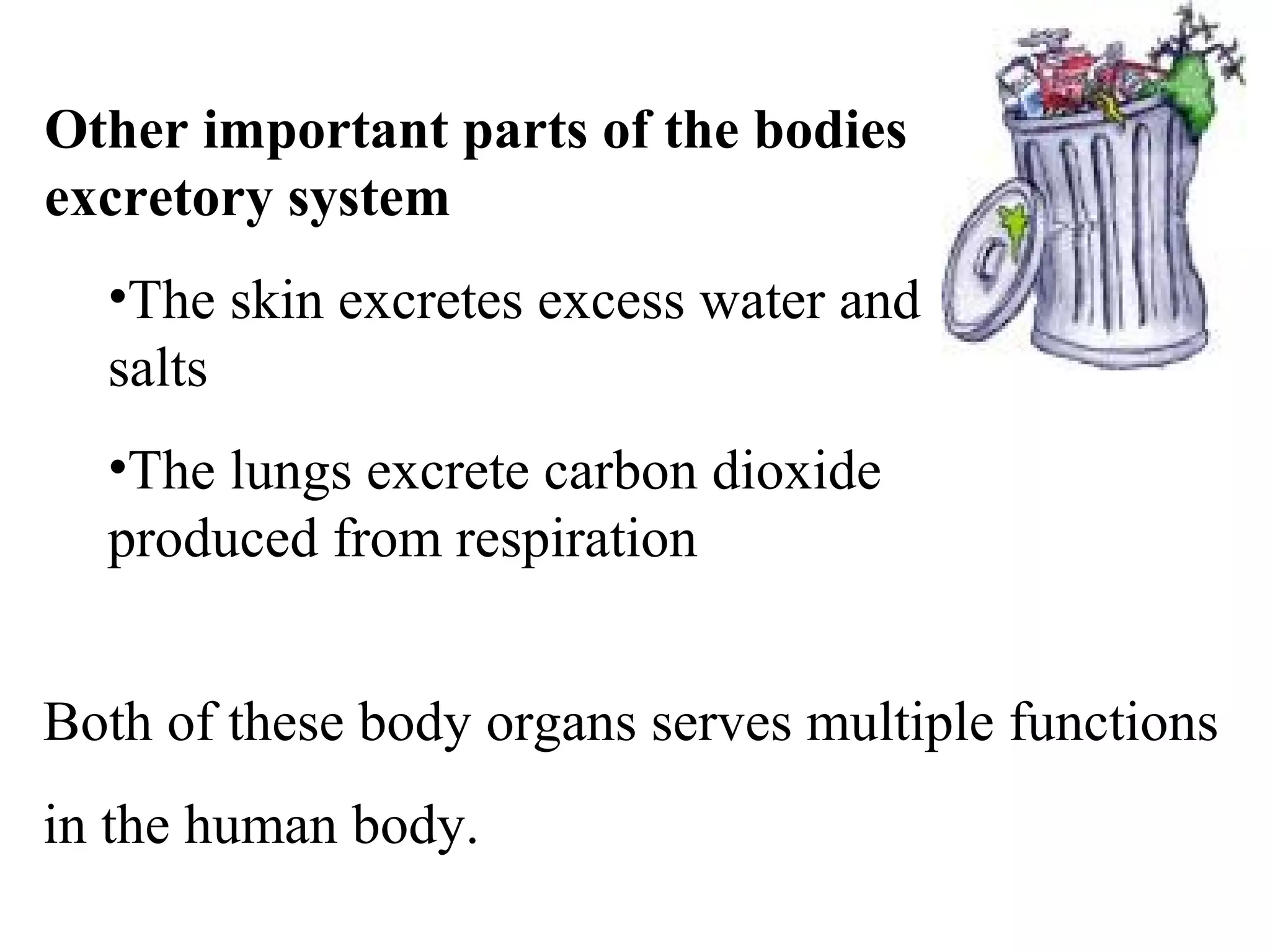 Human body overview | PPT