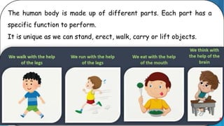 Human body part 1 | PDF | Biological Sciences | Science