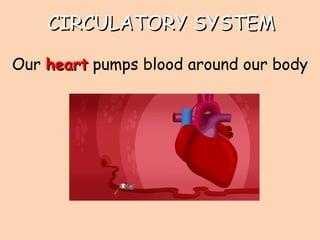 Human body powerpoint | PPT