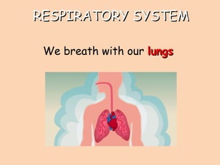 Human body powerpoint | PPT