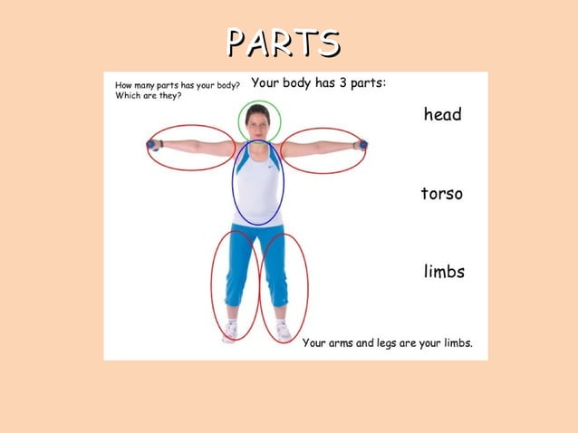 Human body powerpoint | PPT | Lung and Respiratory Health | Diseases ...