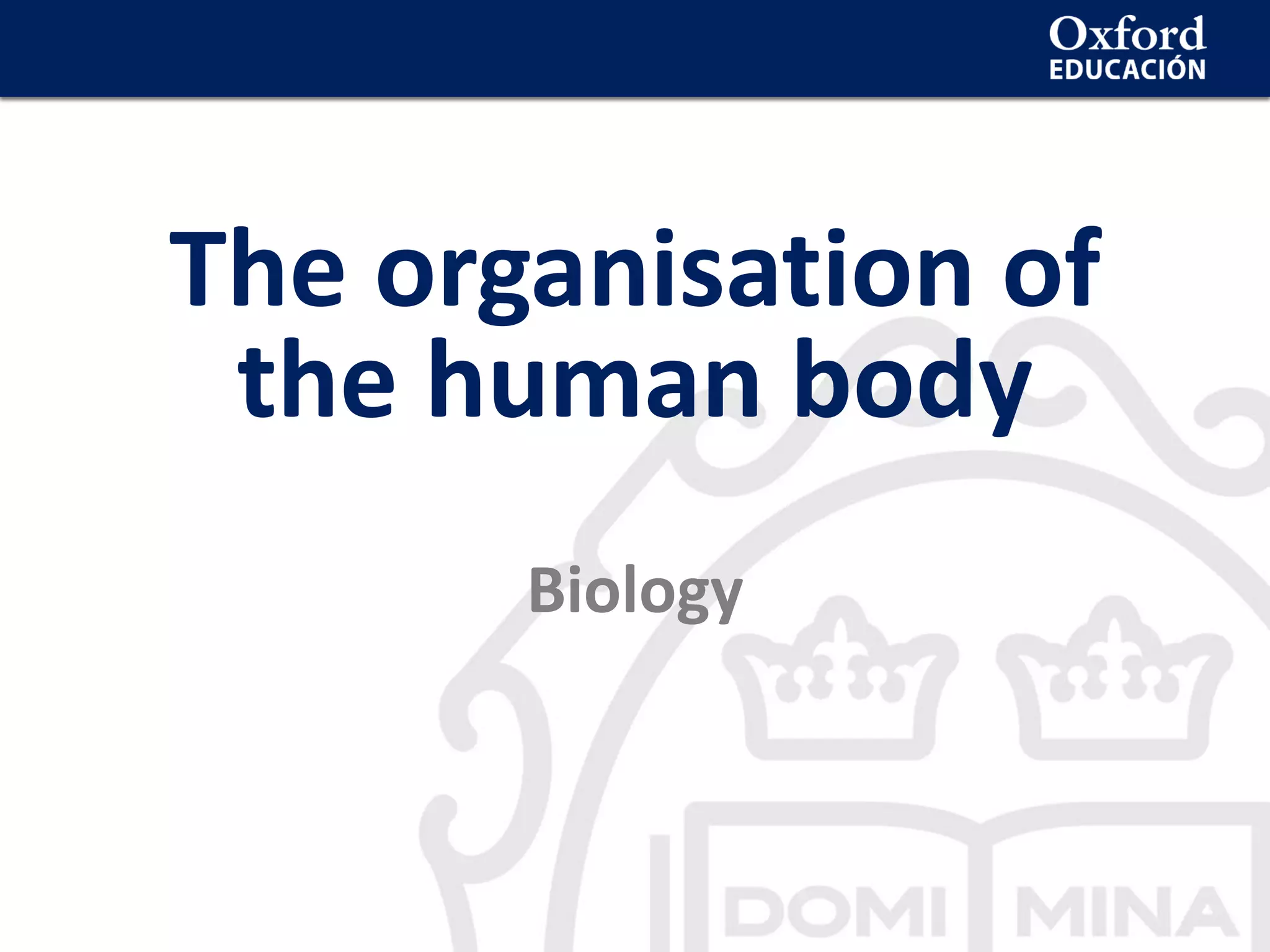 human body_presentation.pdf