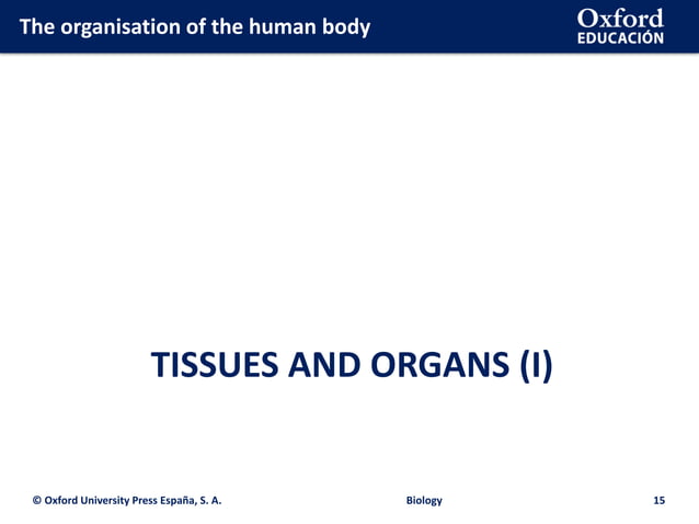 human body_presentation.pdf