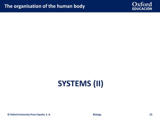 human body_presentation.pdf