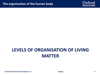human body_presentation.pdf
