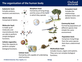 human body_presentation.pdf