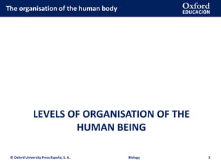 human body_presentation.pdf