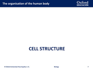 human body_presentation.pdf