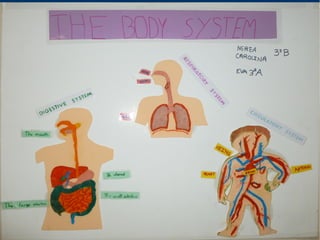 Human body projects | ODP