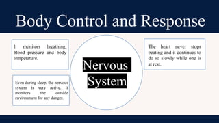 Human Body Regulation.pptx Science 10 lesson | PPTX