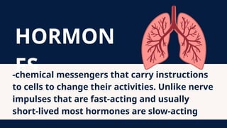 Human Body Regulation.pptx Science 10 lesson | PPTX