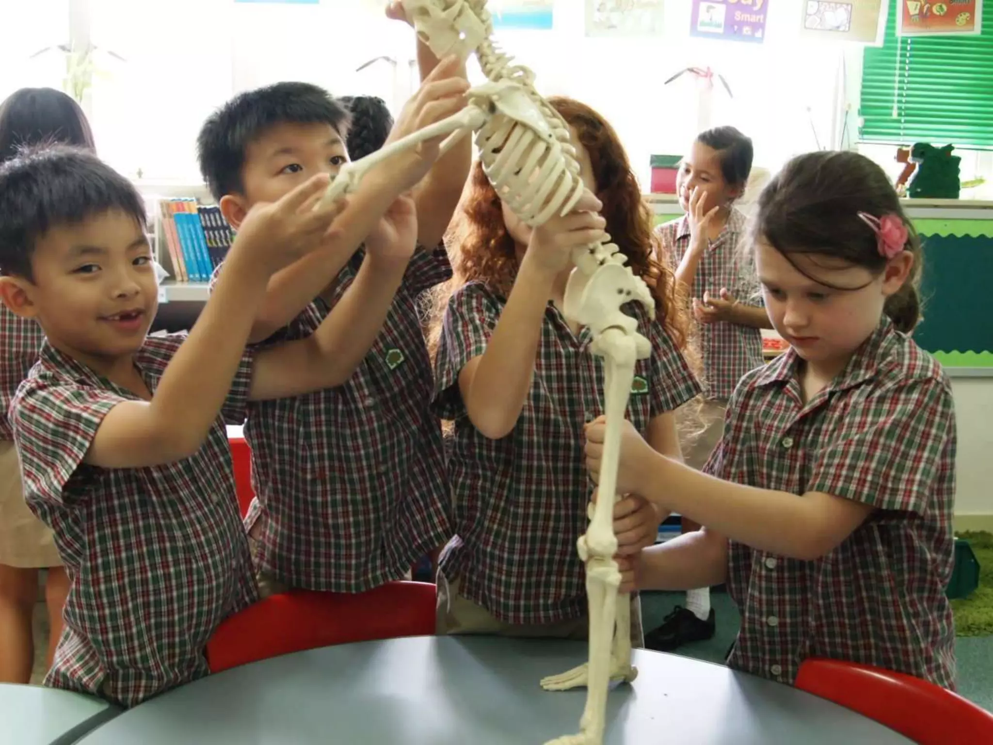 Human body slideshow | PPT