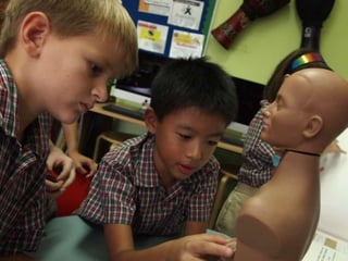 Human body slideshow | PPT