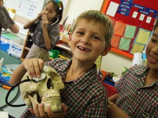 Human body slideshow | PPT