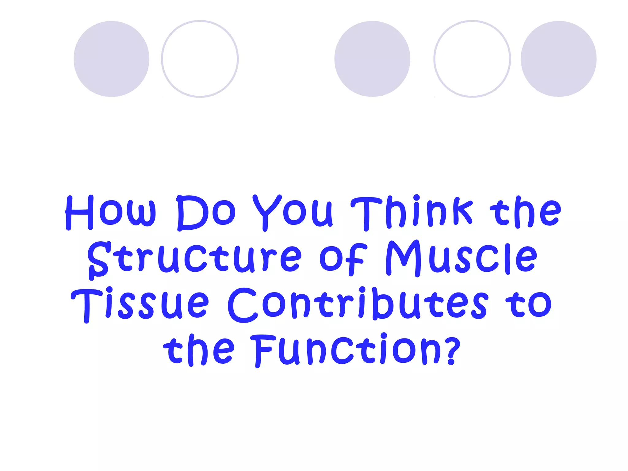 Human body structure and function | PPT