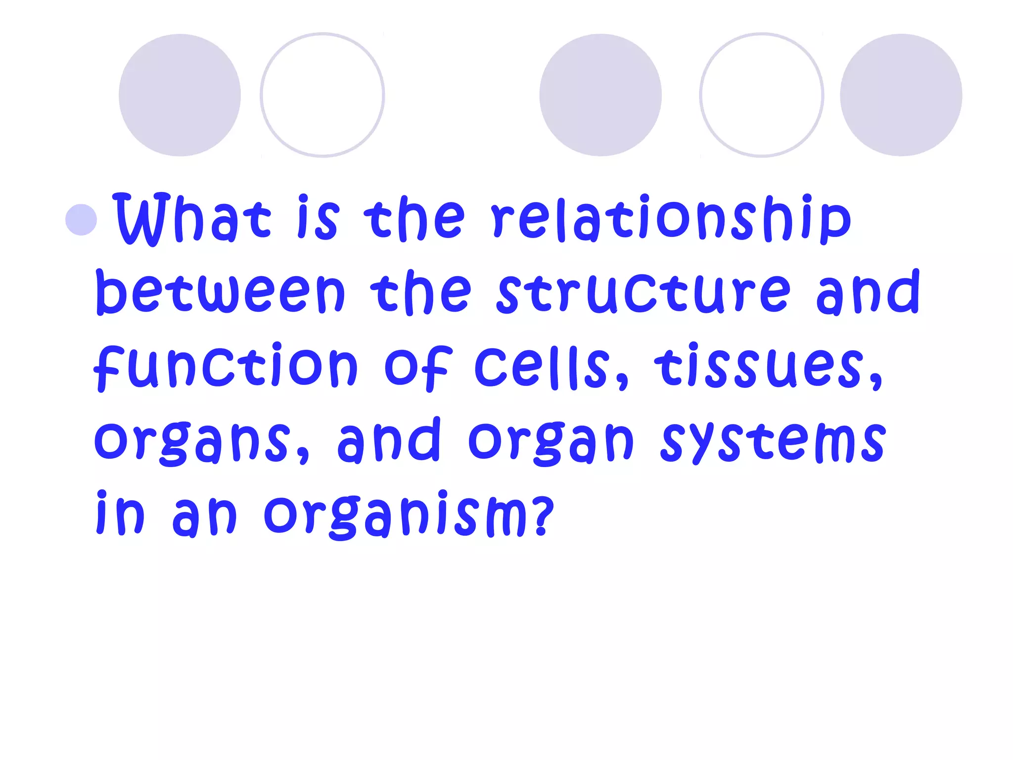 Human body structure and function | PPT