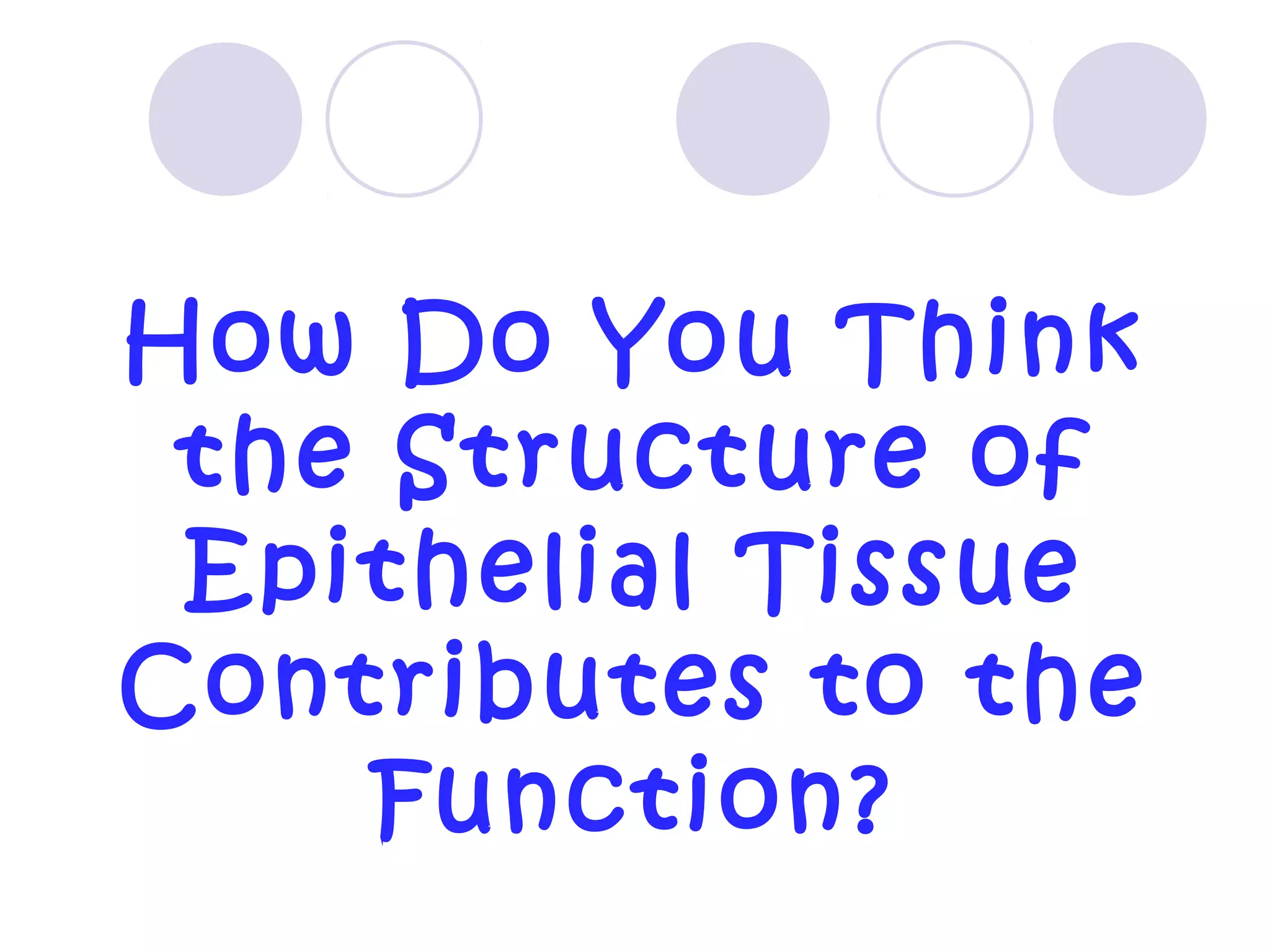 Human body structure and function | PPT