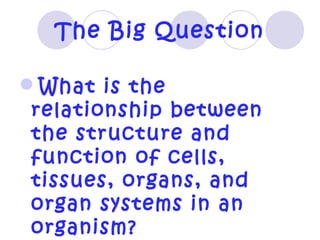 Human body structure and function | PPT