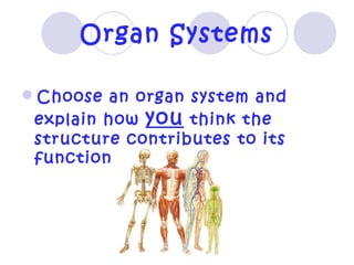 Human body structure and function | PPT