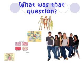 Human body structure and function | PPT