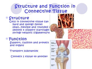 Human body structure and function | PPT