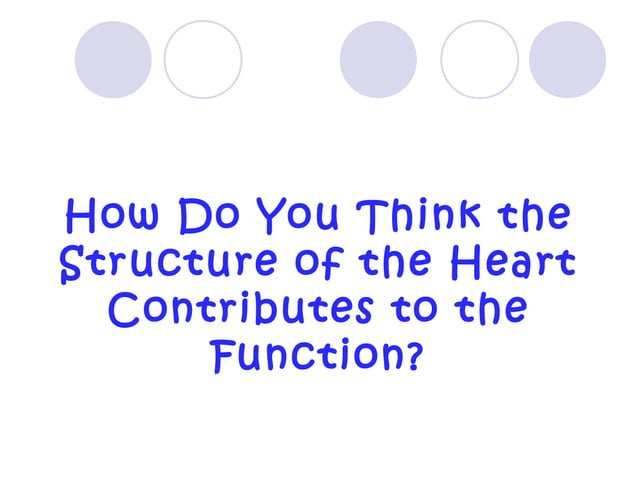 Human Body Structure And Function human-body-structure-and-function