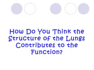 Human body structure and function | PPT
