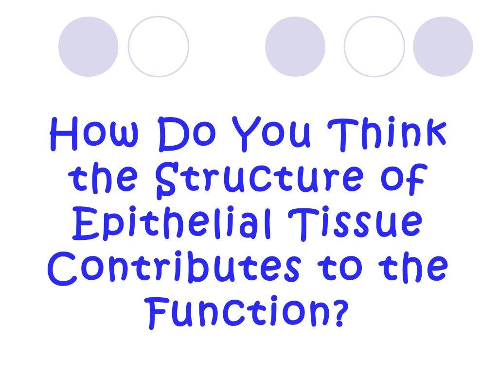 Human Body Structure And Function human-body-structure-and-function