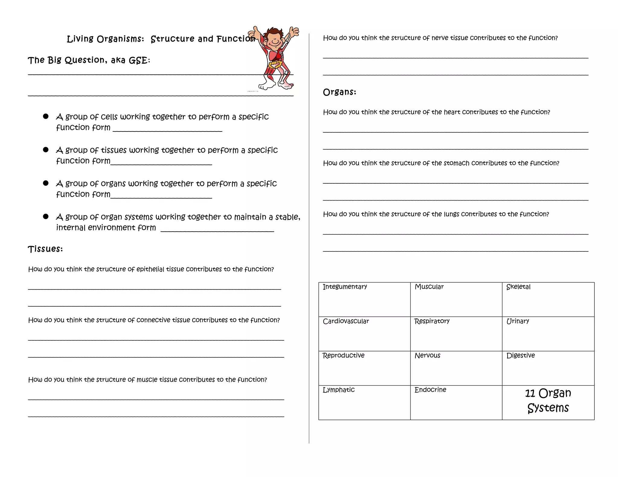 Human body structure and function worksheet | PPT