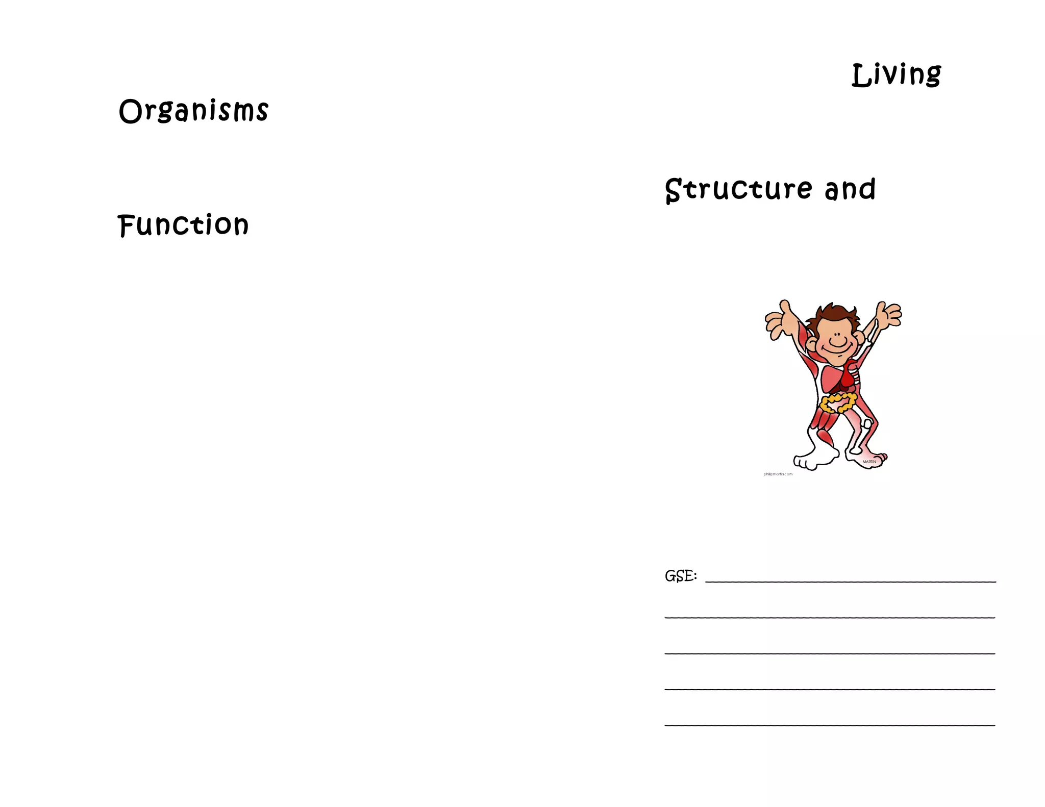 Human body structure and function worksheet | PPT